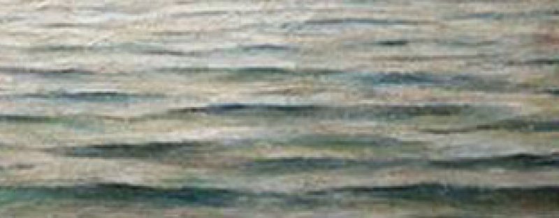 Wouter Haverals leest Charlotte Van den Broeck (Het verblijf, dag 174)